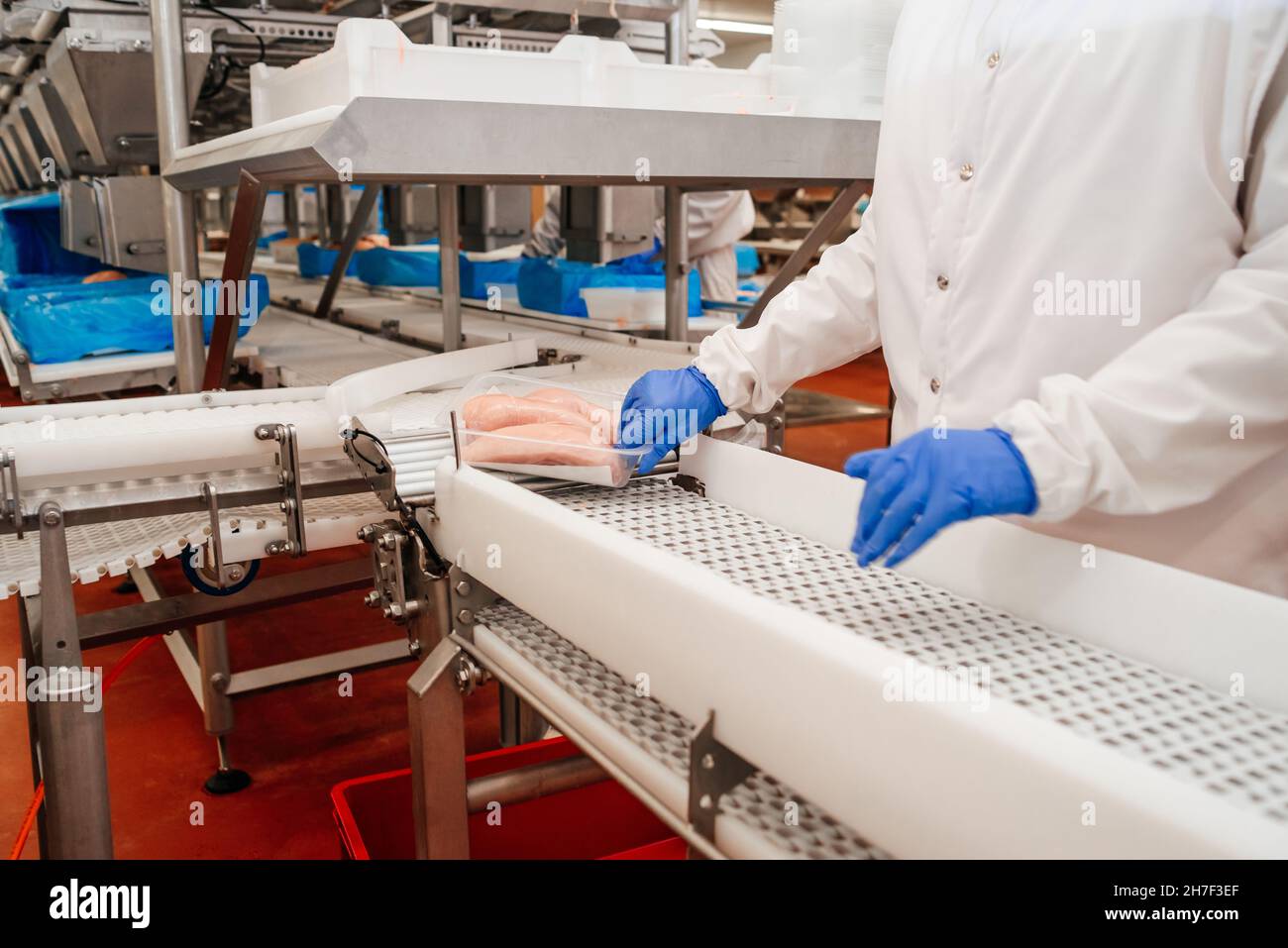 Modern poultry processing plant.Factory for the production of food from ...