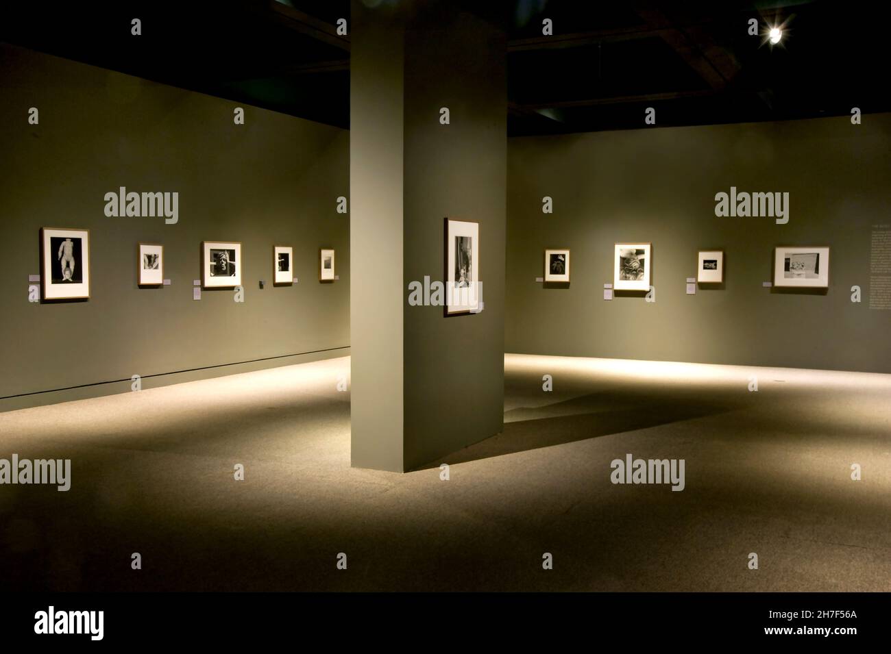 Imogen Cunningham photography exhibition at the Bowers Museum in Santa ...