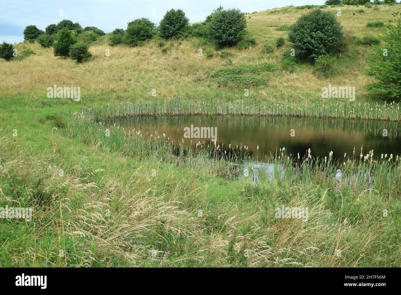 Pond and hill Stock Photo - Alamy