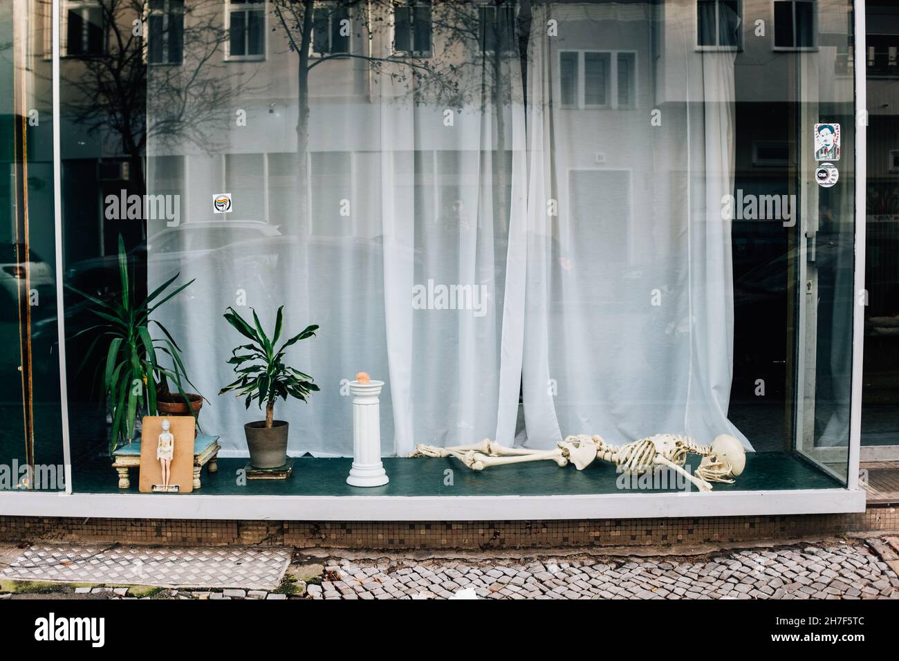 Showcase with plants and a skeleton in the street Stock Photo - Alamy