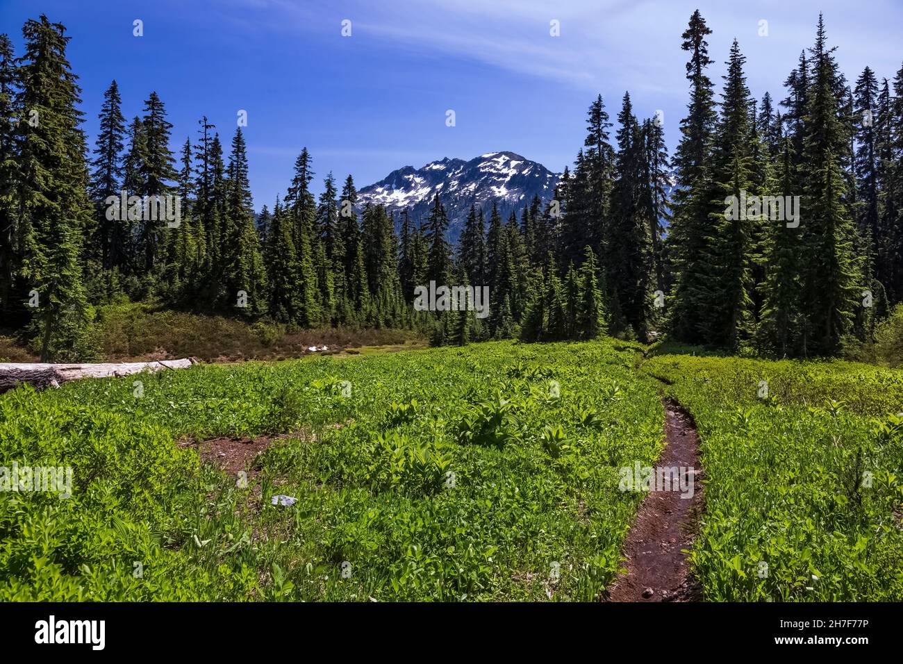 Pacific Crest Trail near Trap Lake in the Cascade Range, Mount Baker ...