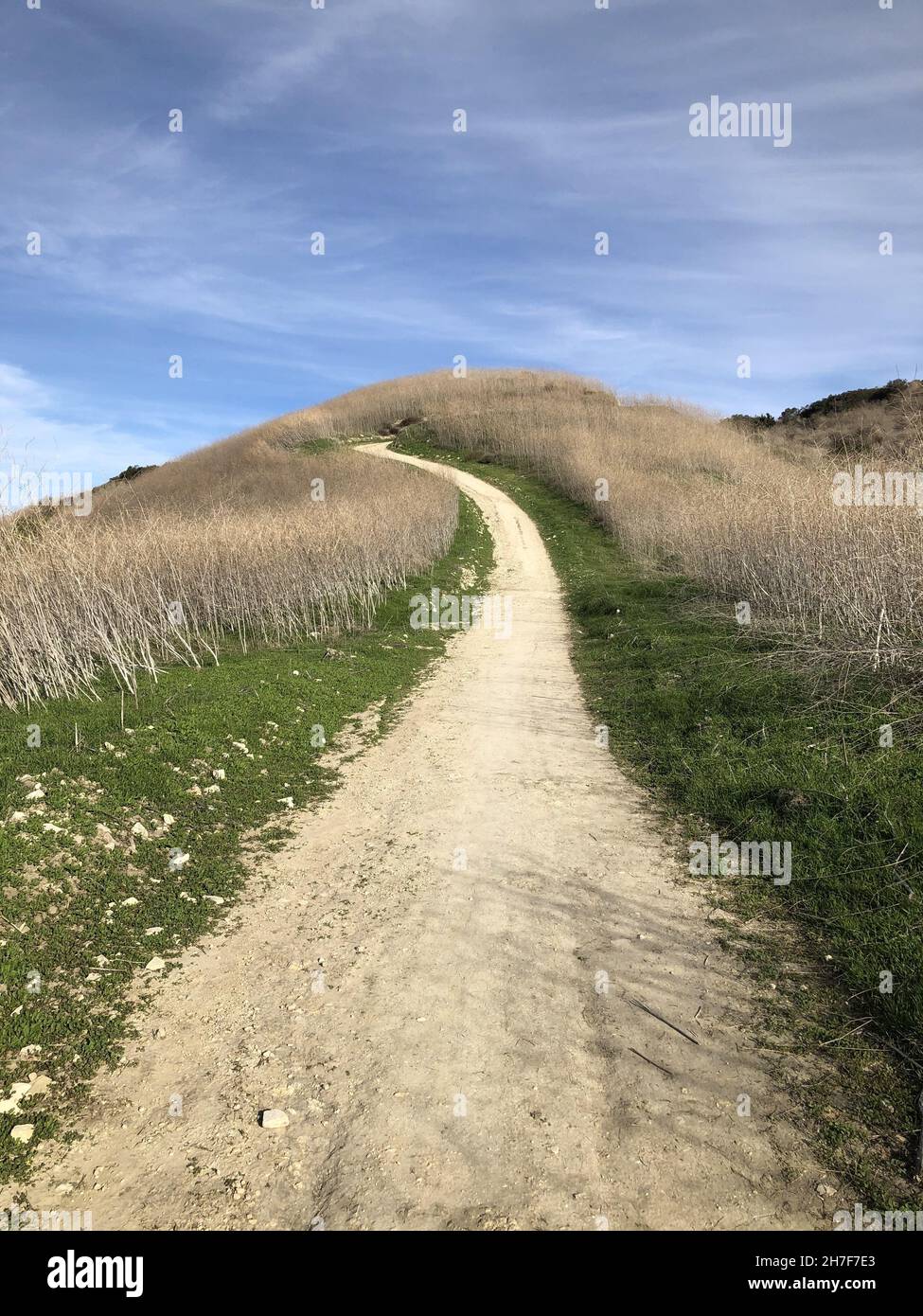 Vertical shot of a narrow thin road in the middle of nowhere surrounded ...