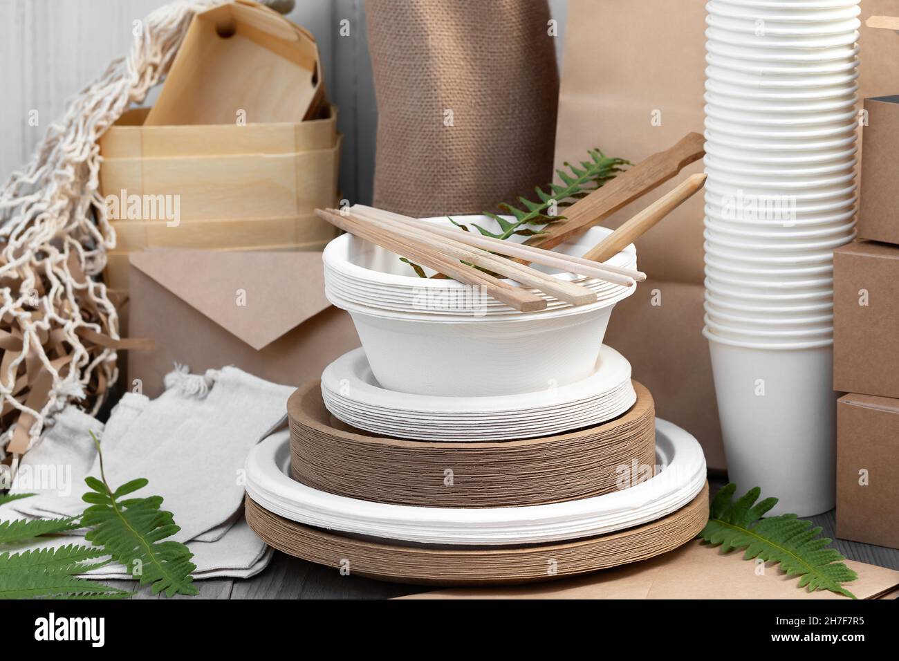 Eco friendly packaging and dishes made from natural recyclable ...