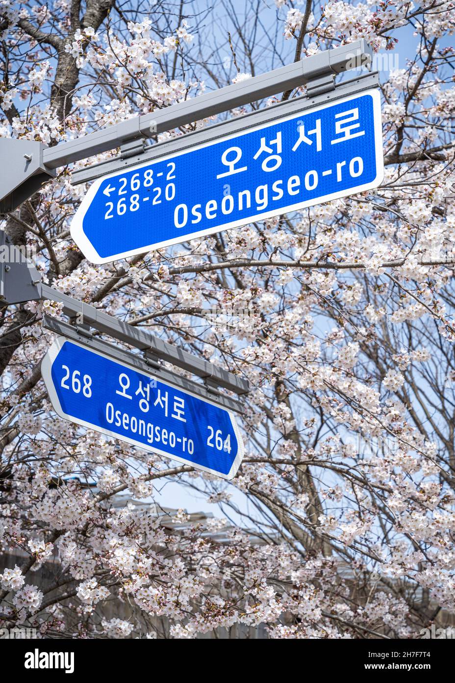 Closeup of a street sign in South Korea Stock Photo - Alamy