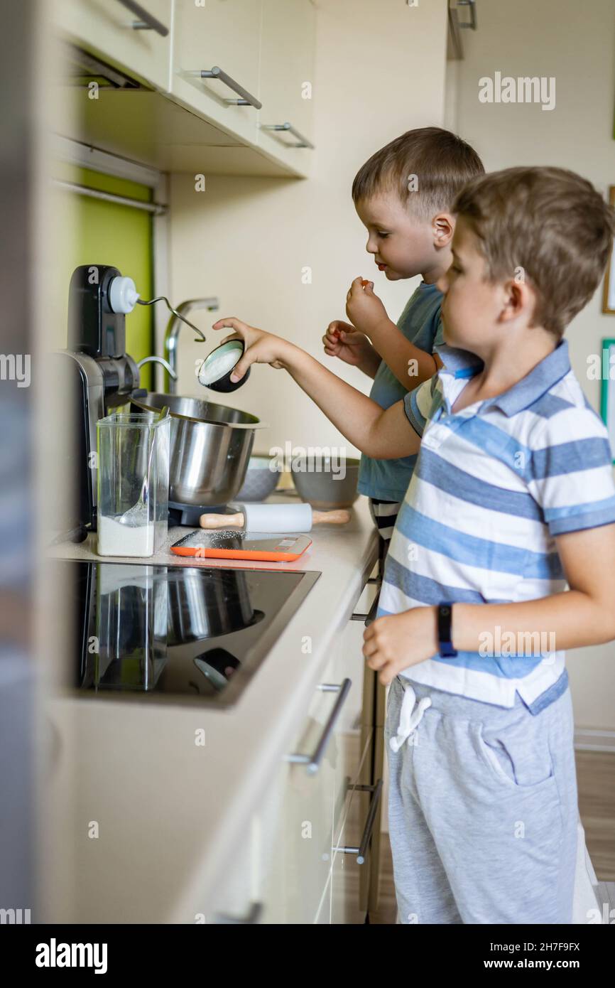 Two cheerful male children cooking homemade baking dessert together ...