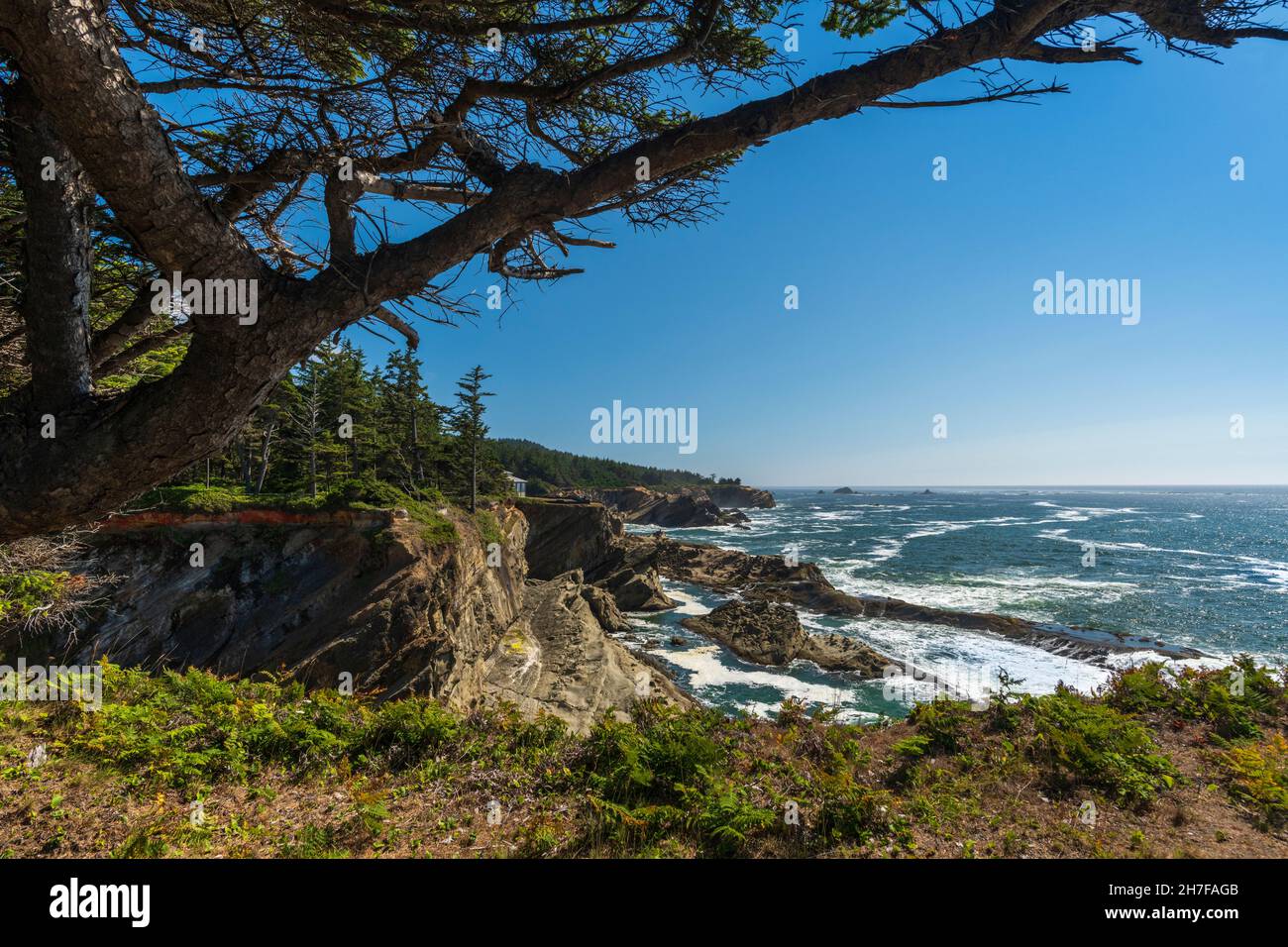 Pacific Northwest rigged shoreline and cliffs view from Shore Acres ...