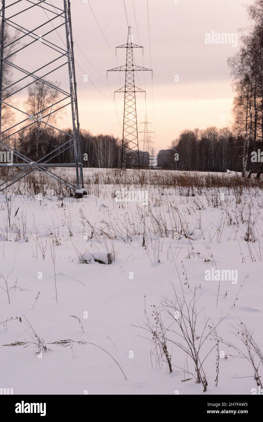 A high-voltage power line on large metal poles runs through a forest ...