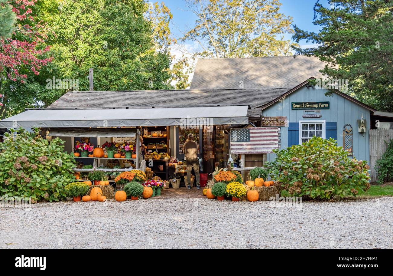 Round Swamp Farm, East Hampton, NY Stock Photo - Alamy