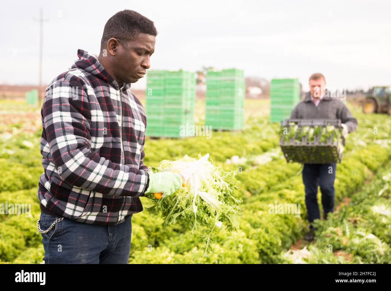 African farm worker hi-res stock photography and images - Alamy