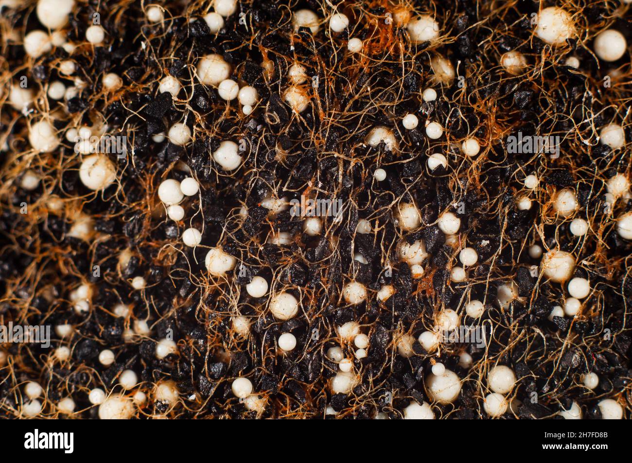 Filter material for water filter against organic pollution Stock Photo ...