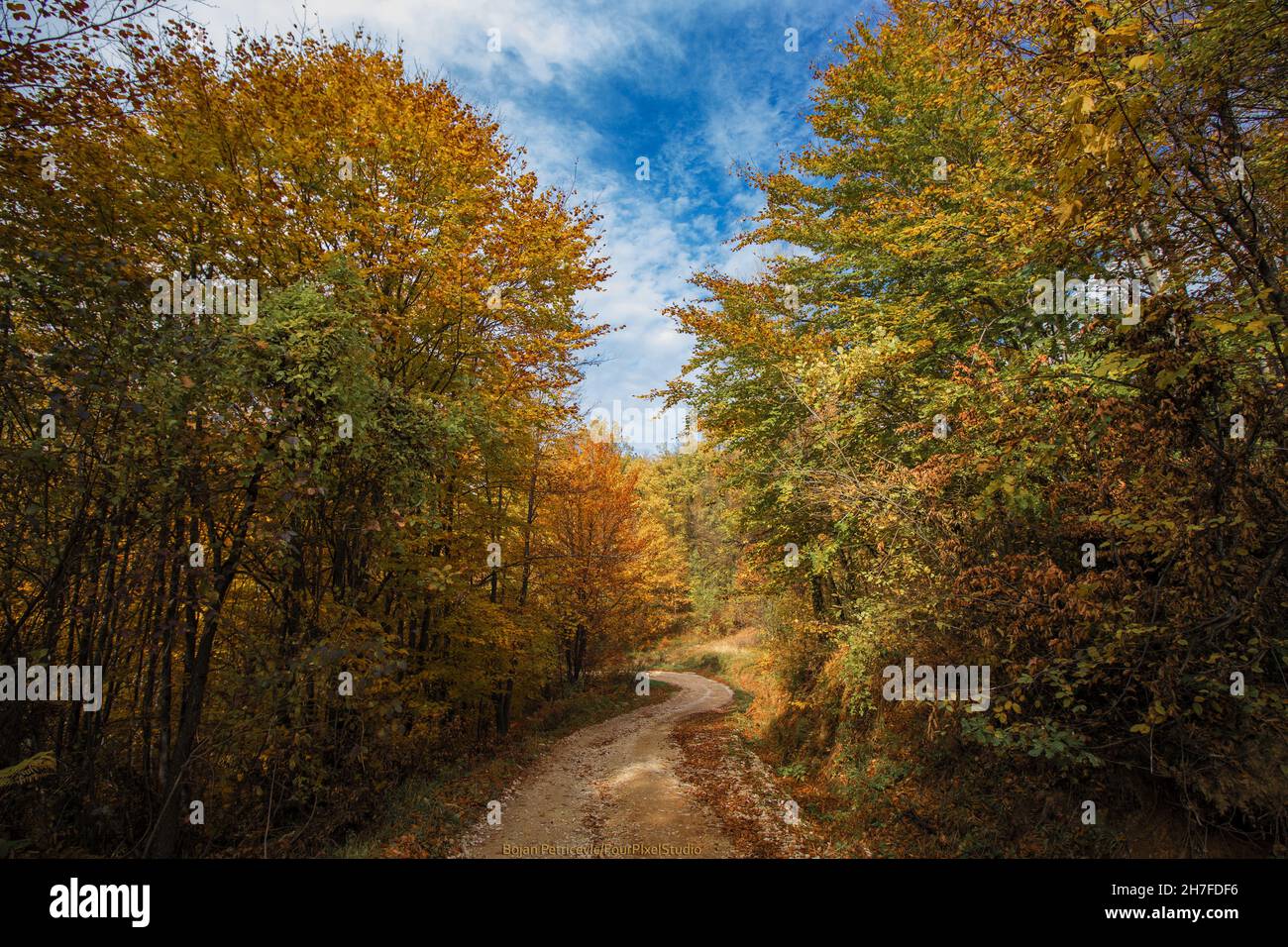 Beautiful road with autumn trees Stock Photo - Alamy