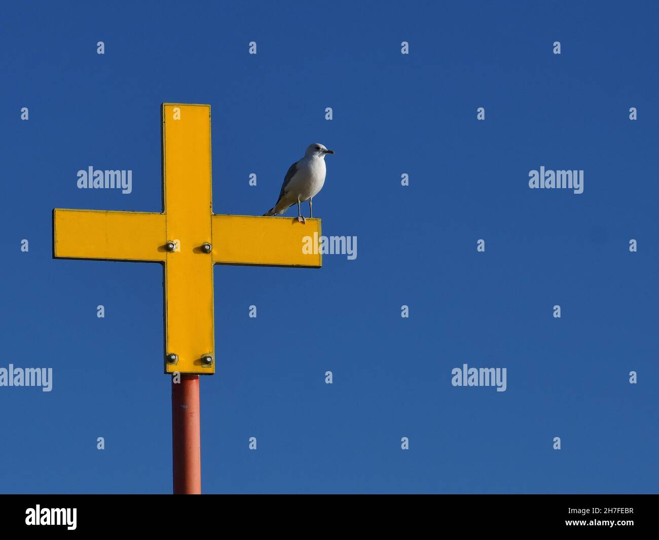 Bird on a cross hi-res stock photography and images - Alamy