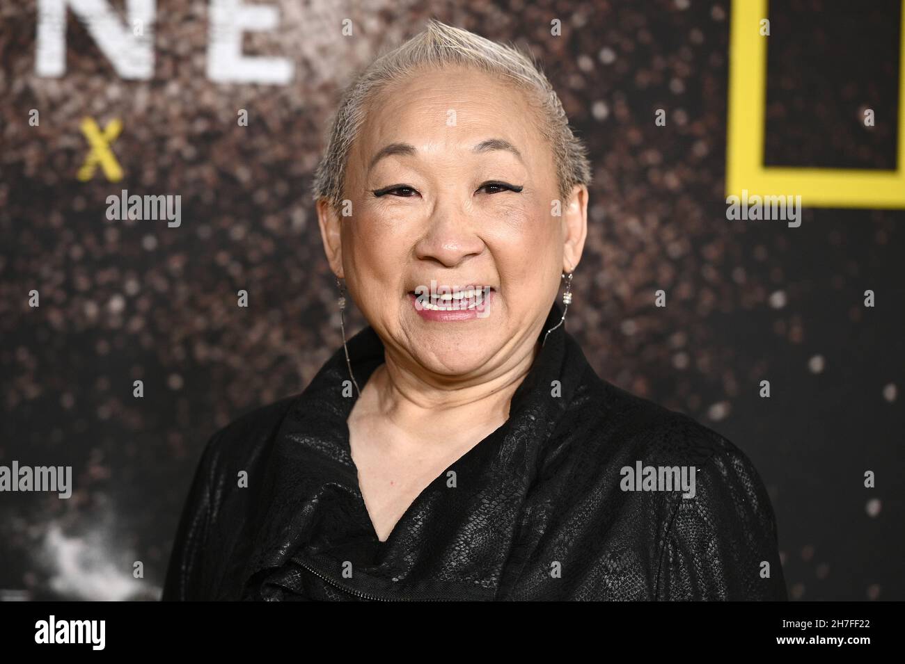 Lori Tan Chinn attends the premiere screening of National Geographic's ...