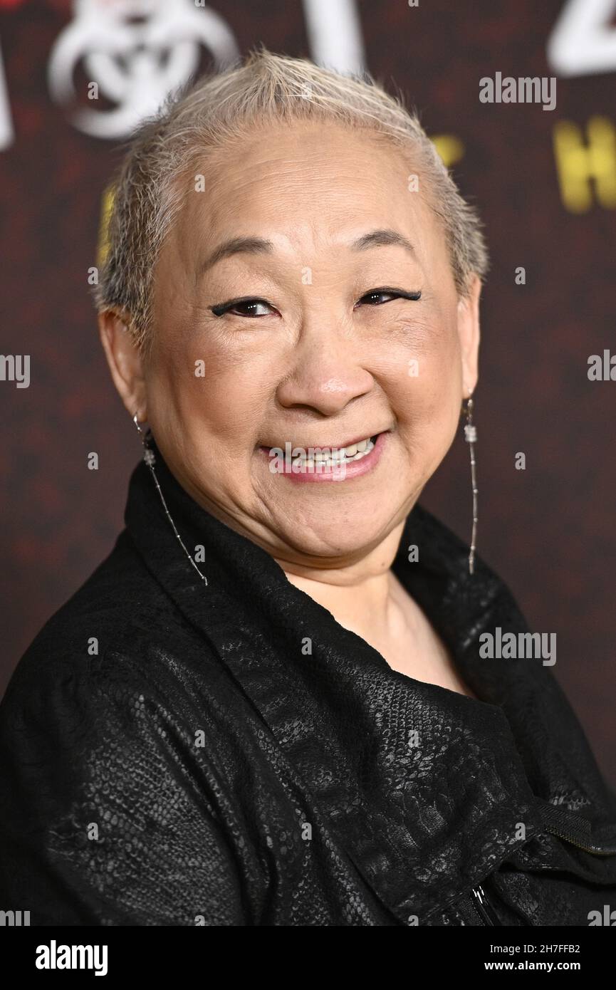 New York, USA. 22nd Nov, 2021. Lori Tan Chinn attends the premiere ...