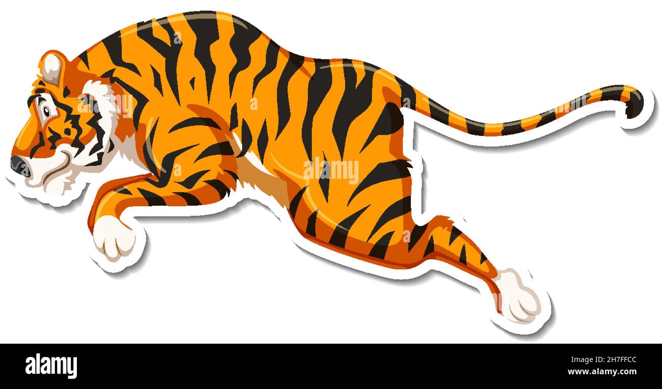 White bengal tiger leaping Cut Out Stock Images & Pictures - Alamy