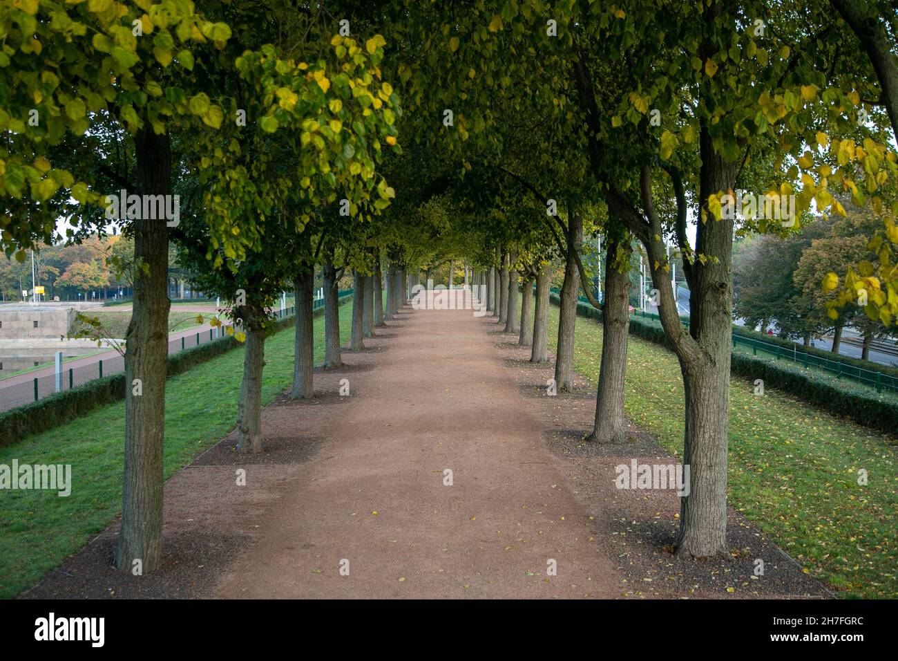 View of a pathway with trees from both sides in a park Stock Photo - Alamy