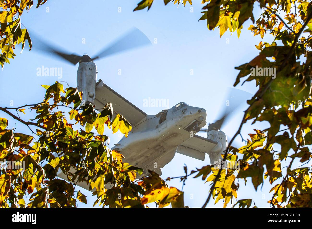 A U.S. Marine MV-22B Osprey lands at a landing zone in the 52 Area ...