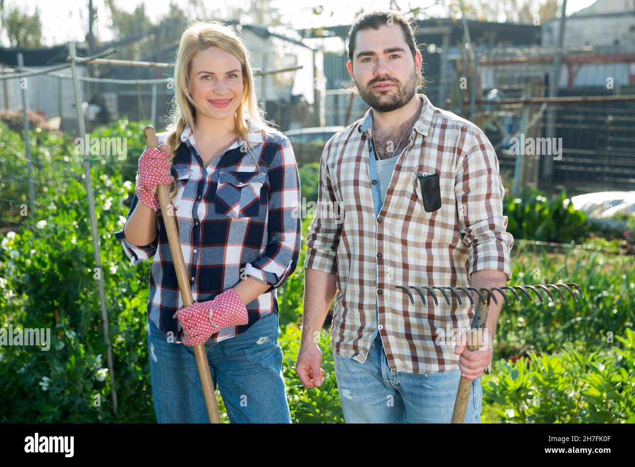 Couple working in garden Stock Photo - Alamy