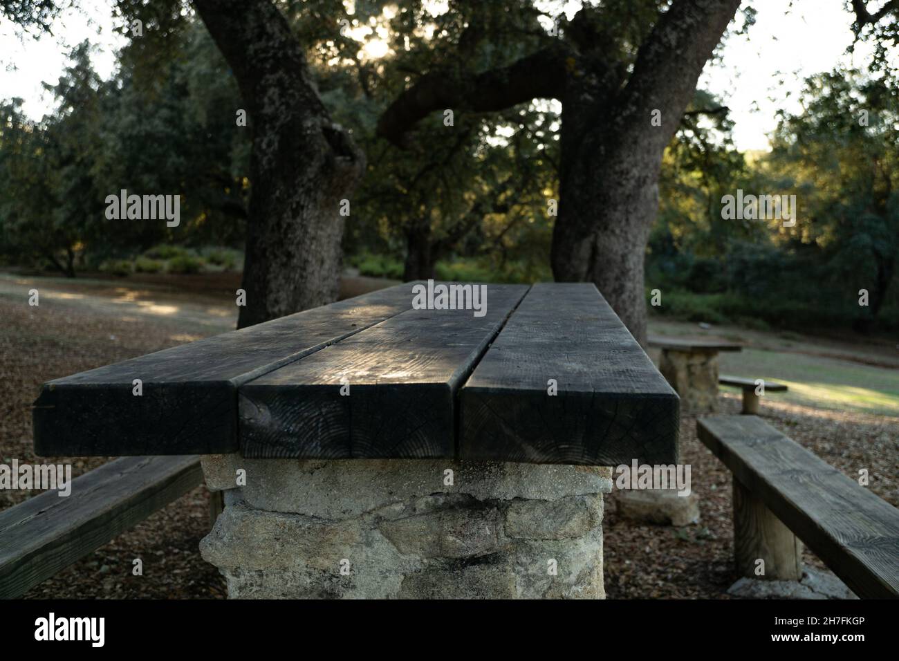 wooden table in the forest Stock Photo - Alamy