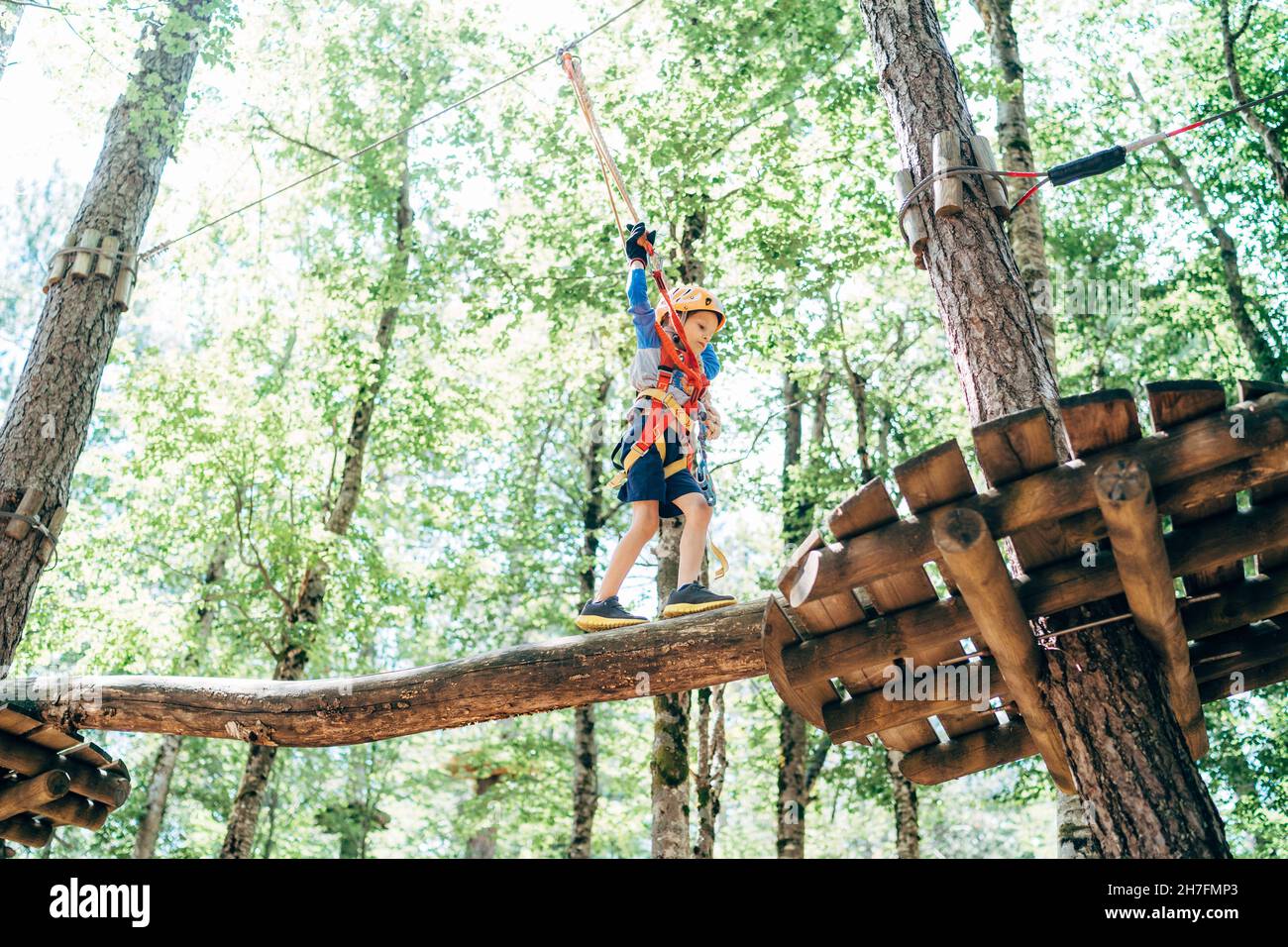 Children tree walking ropes hi-res stock photography and images - Alamy