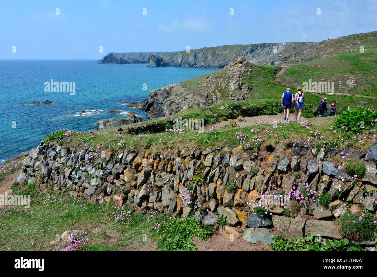 UNITED KINGDOM. ENGLAND. CORNWALLS. THE COASTAL TREK OF CAP LIZARD IS ...