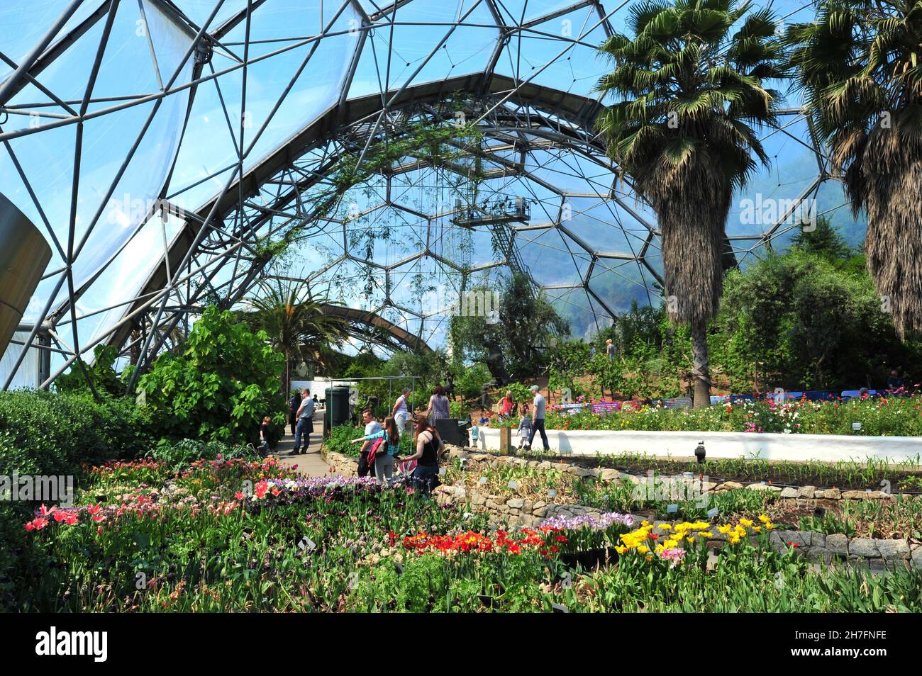 UNITED KINGDOM. ENGLAND. CORNWALLS. SAINT-AUSTELL. THE EDEN PROJECT HAS ...
