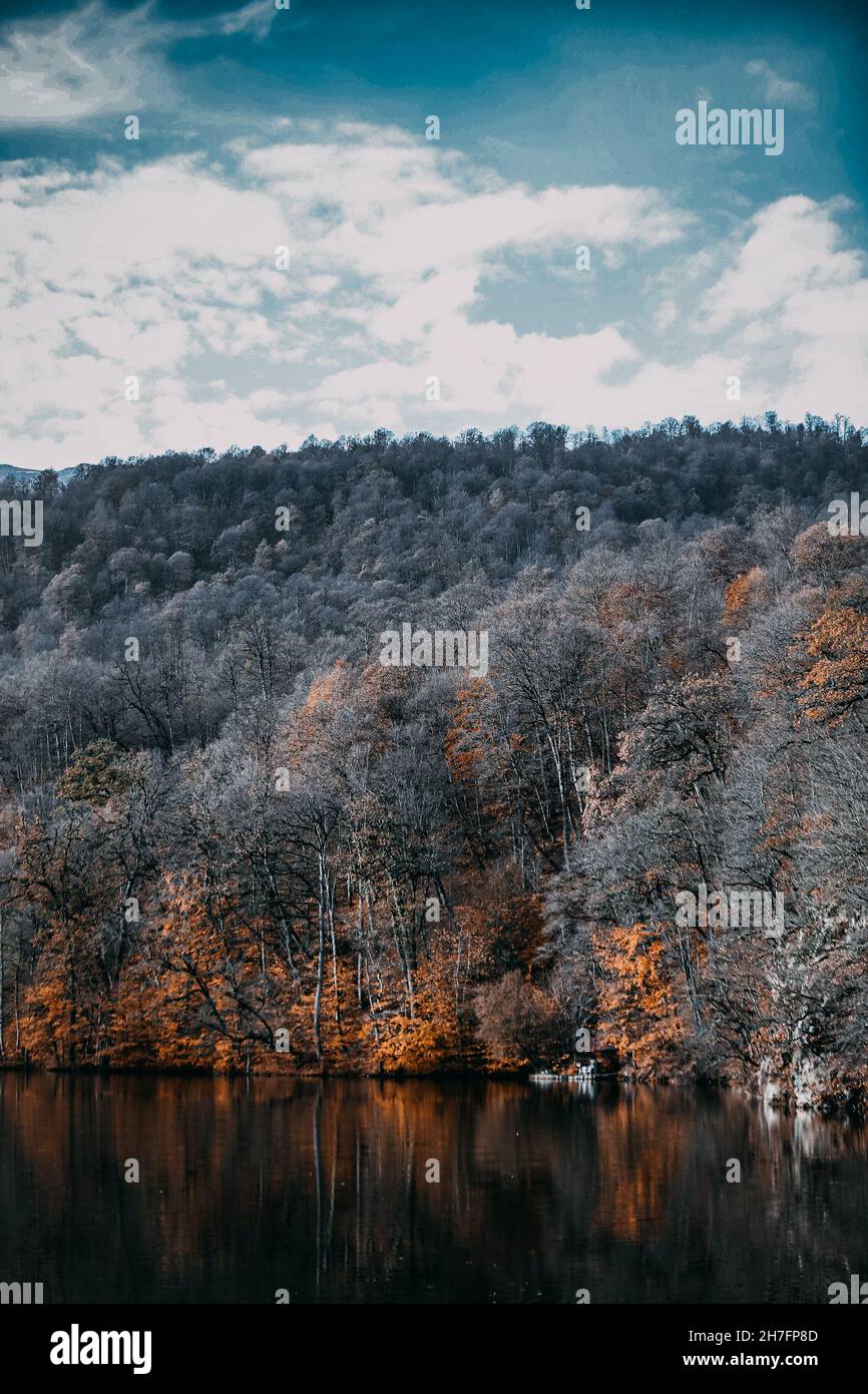 Vertical shot of Lake Parz surrounded by trees in autumn in Dilijan ...