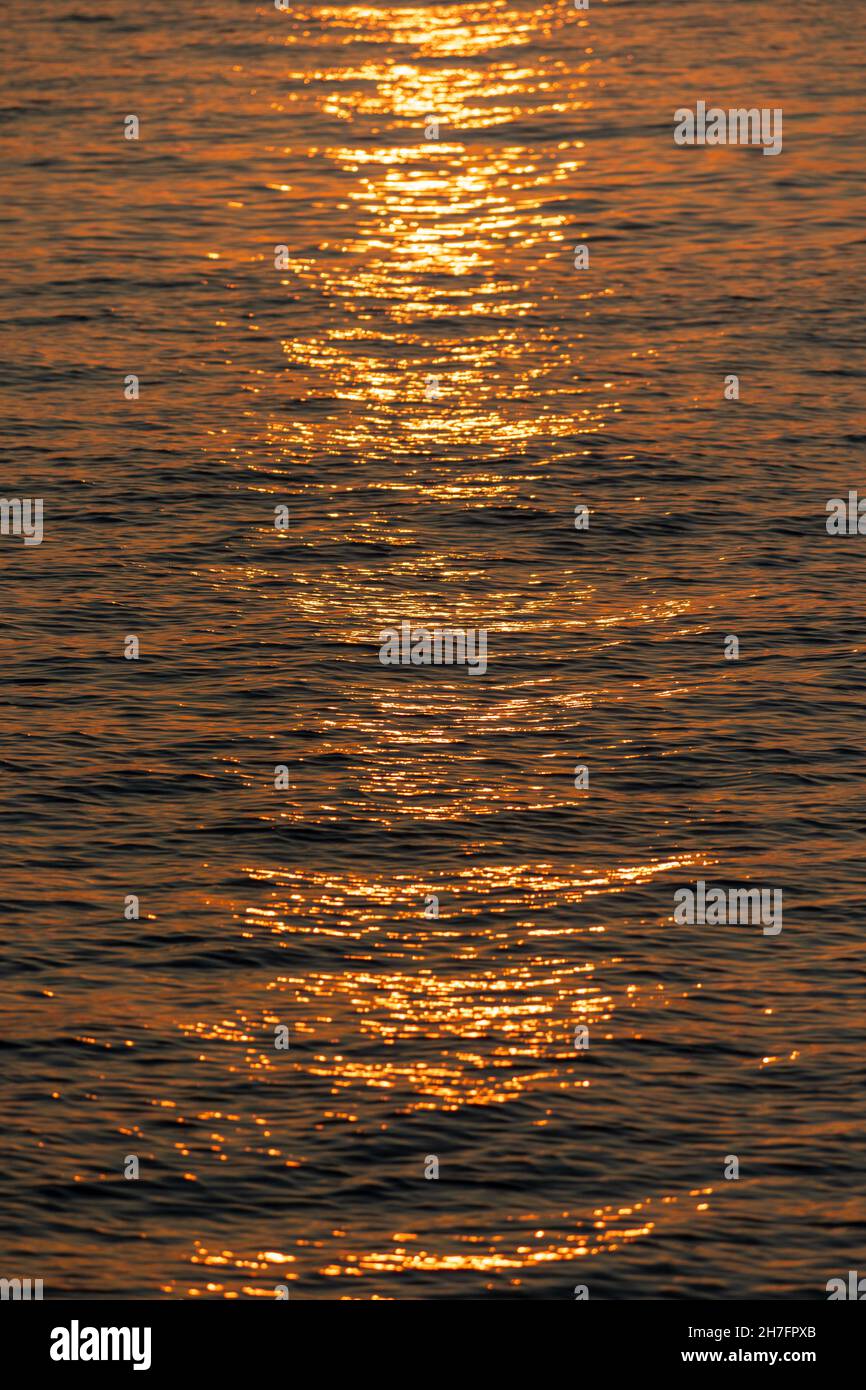 Vertical shot of the reflection of the sun on a sea surface Stock Photo ...