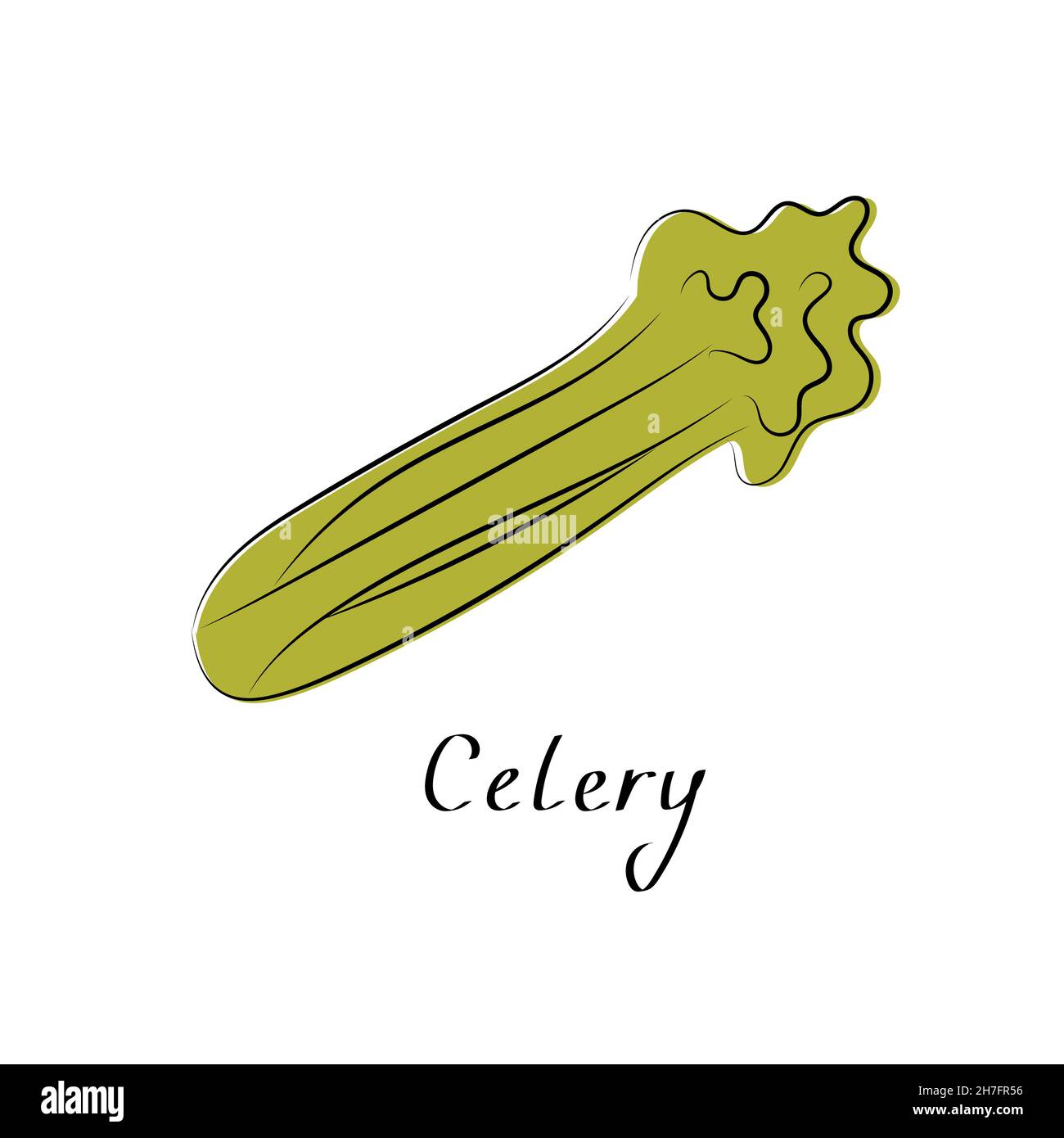 Celeriac leaf Stock Vector Images - Alamy