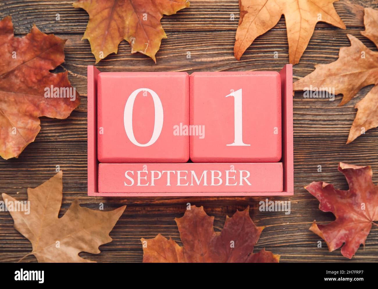 Calendar with date of September 1 and autumn leaves on wooden ...
