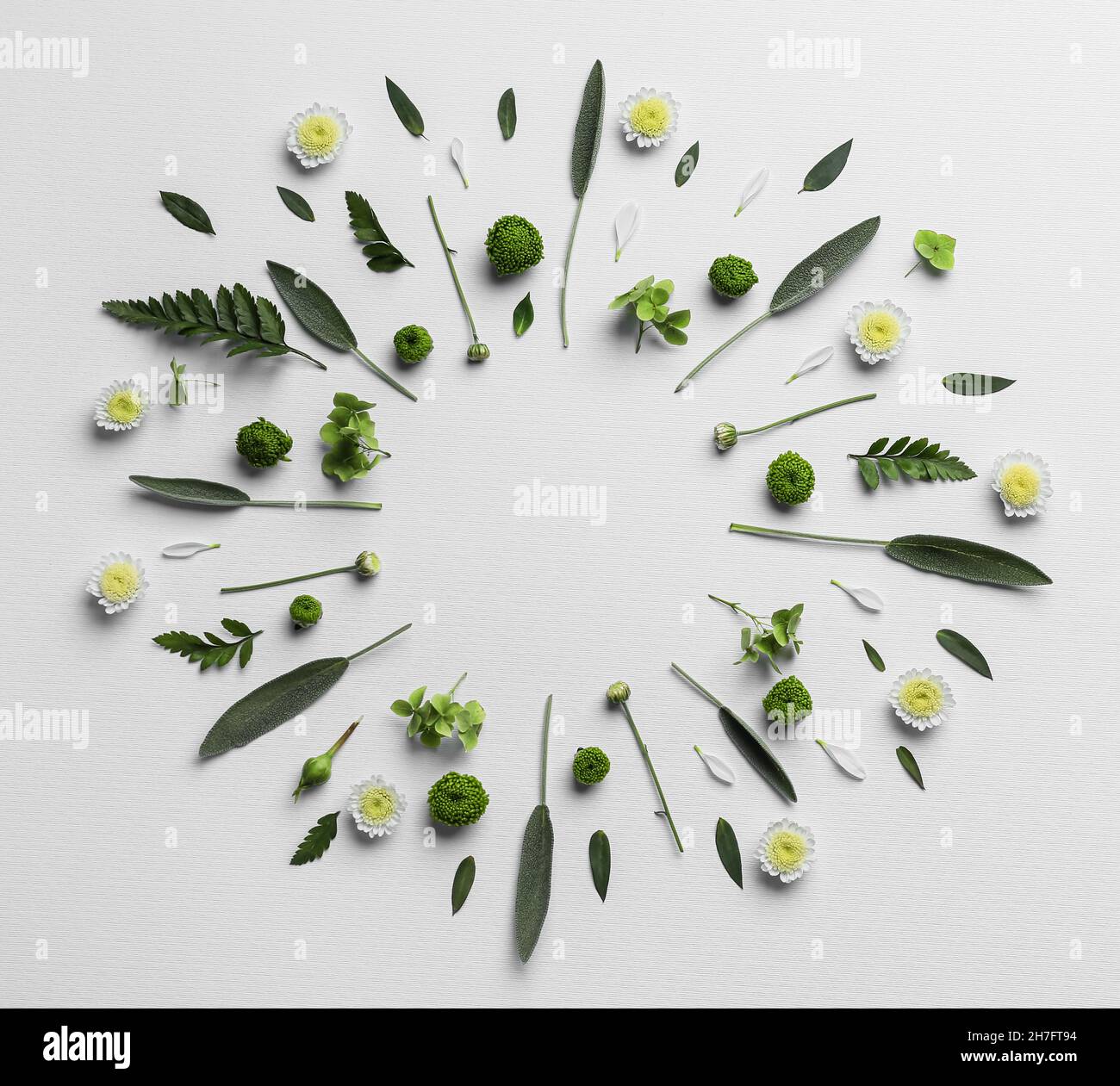 Frame made of different flowers and leaves on white background Stock ...