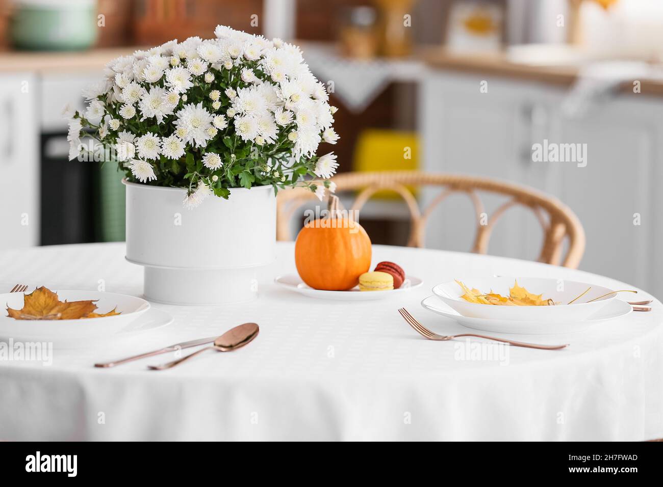 Dining table with beautiful Chrysanthemum flowers in kitchen Stock ...