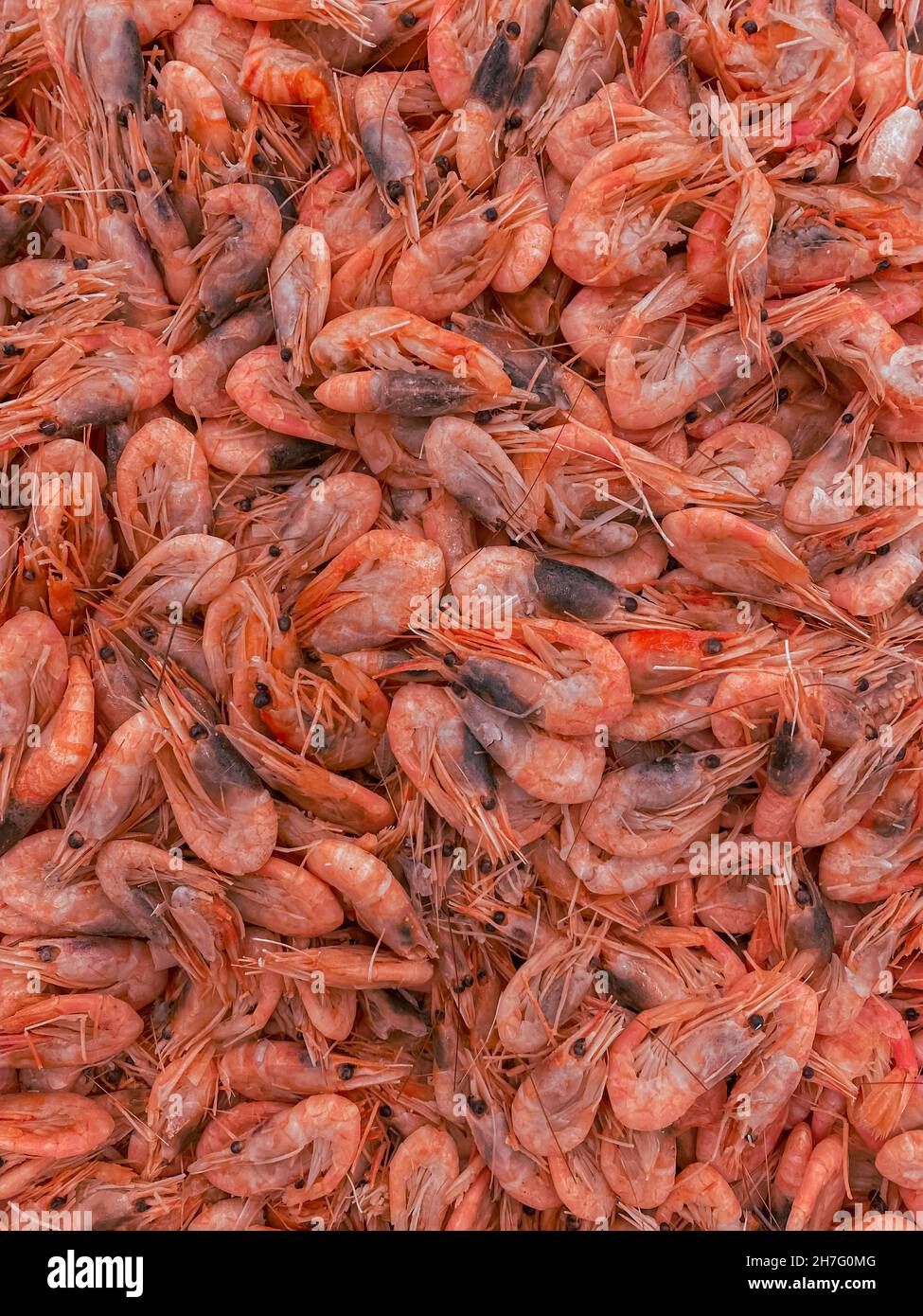 Pink chilled shrimp in the supermarket: vertical banner top view ...