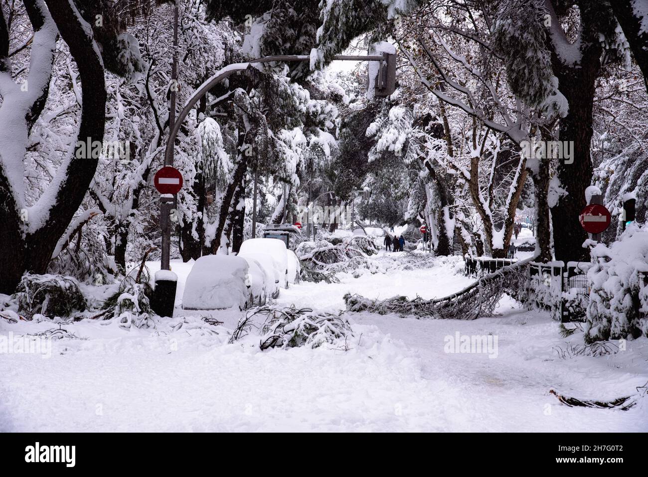 View of a city street covered in snow during heavy snowfall with fallen ...