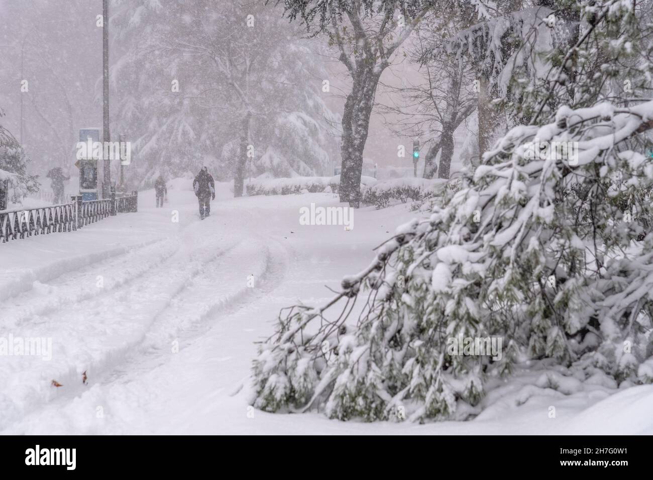 View of a city street covered in snow during heavy snowfall with fallen ...
