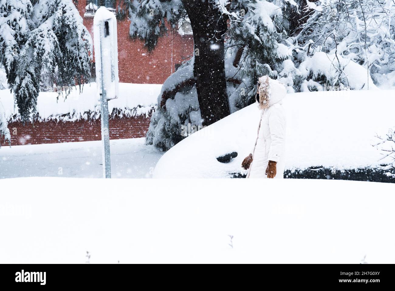 People walking on a street during heavy snow storm Stock Photo - Alamy