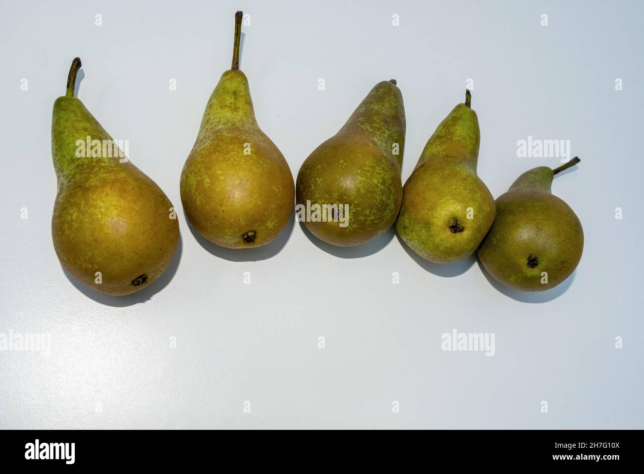 Green dutch Pears in greenhouse or market on the white background with ...