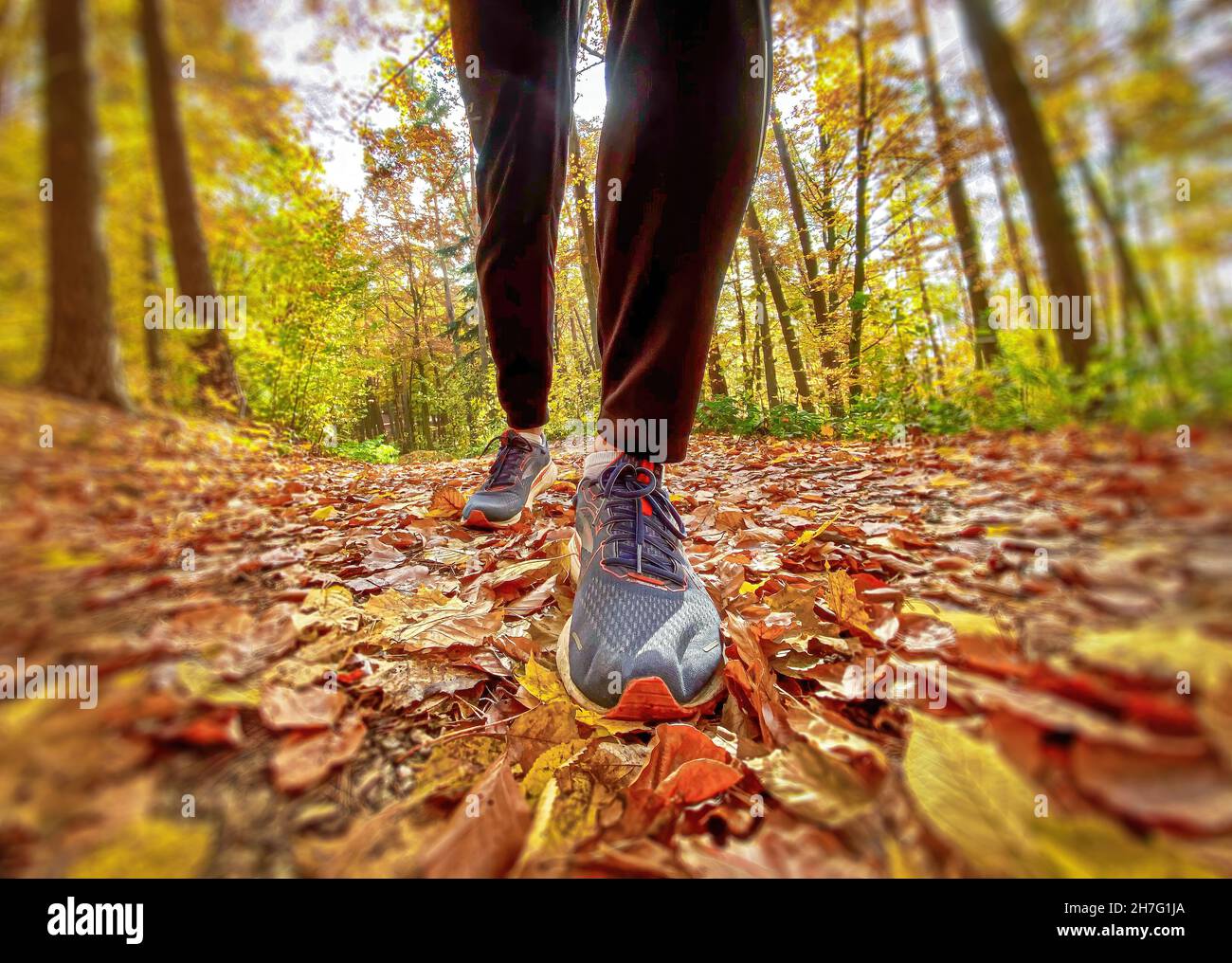 Running at the forest with Autumn Season background Stock Photo - Alamy