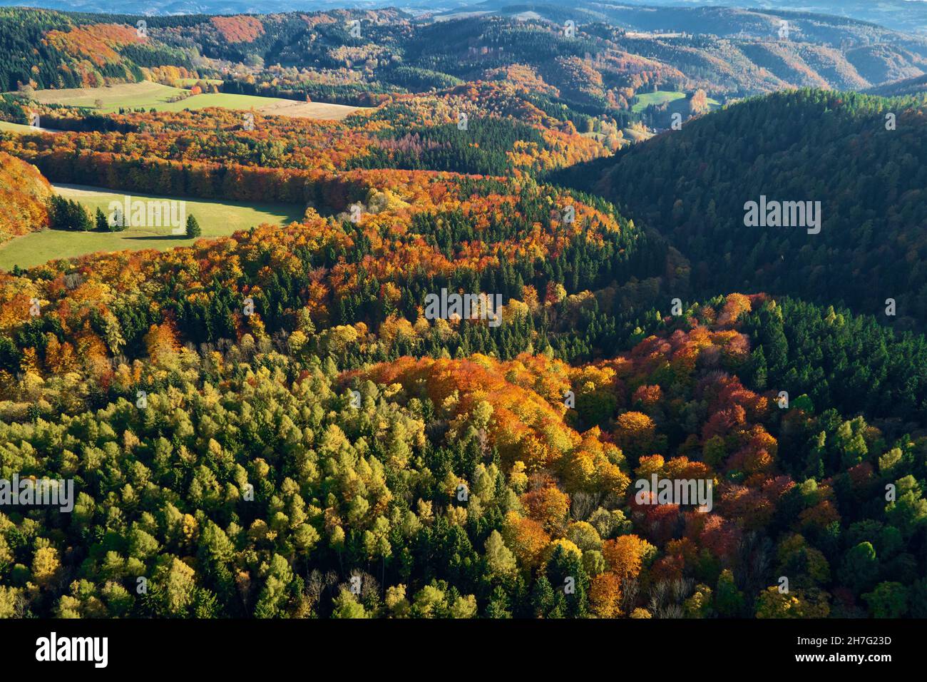 Mountains covered with autumn colored forest, aerial view. Beautiful ...