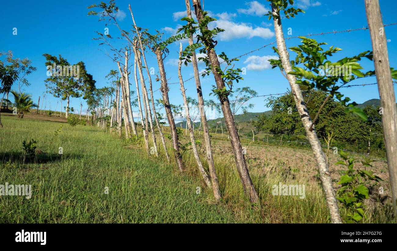 the beautiful nature in a calm afternoon between the mountains and the ...