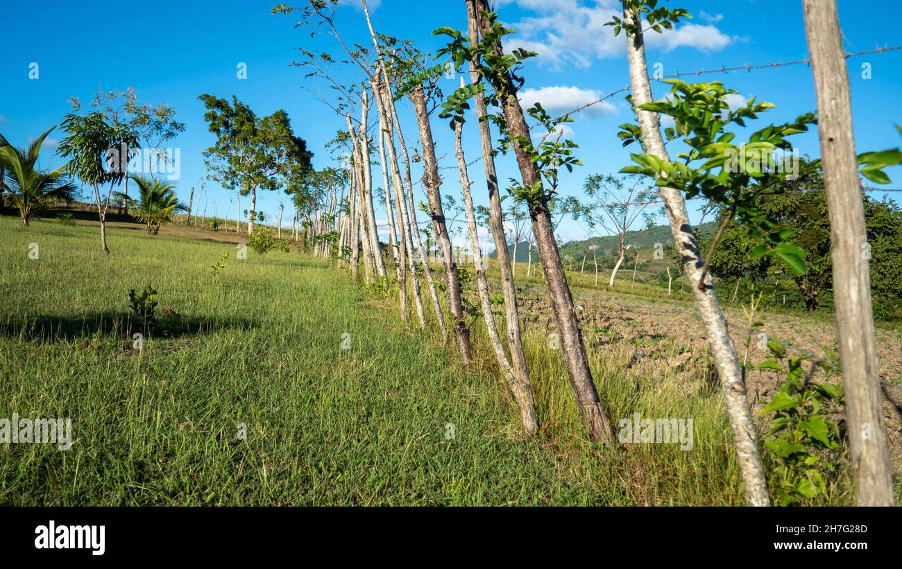 the beautiful nature in a calm afternoon between the mountains and the ...