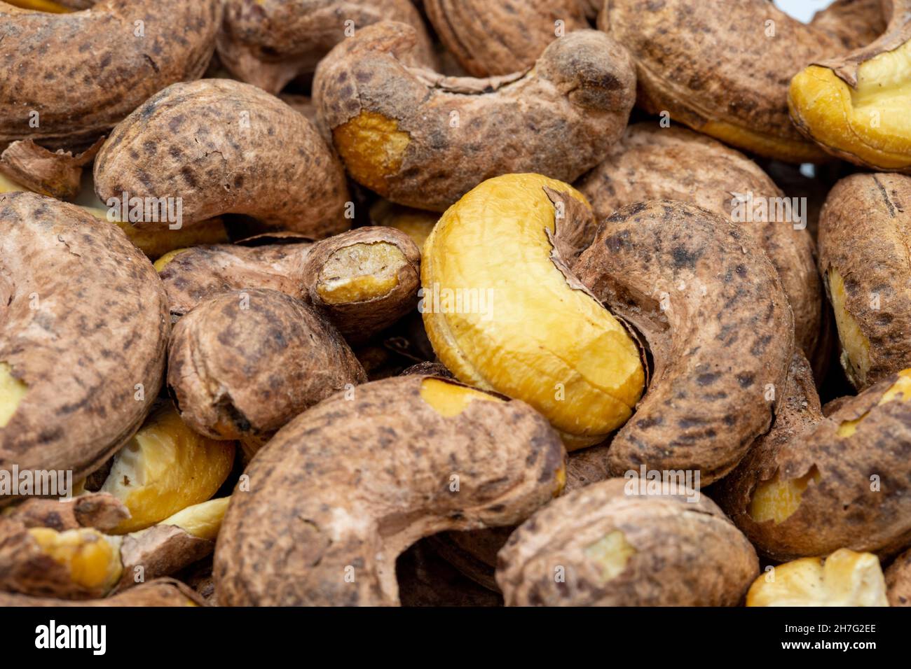 Close-up shelled cashews. food background. Snack Fresh Nuts Stock Photo ...