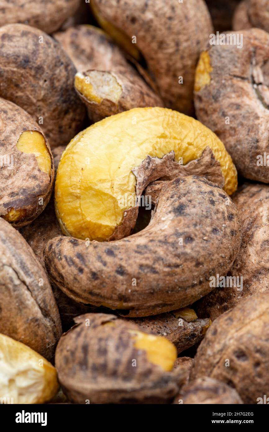 Close-up shelled cashews. food background. Snack Fresh Nuts Stock Photo ...