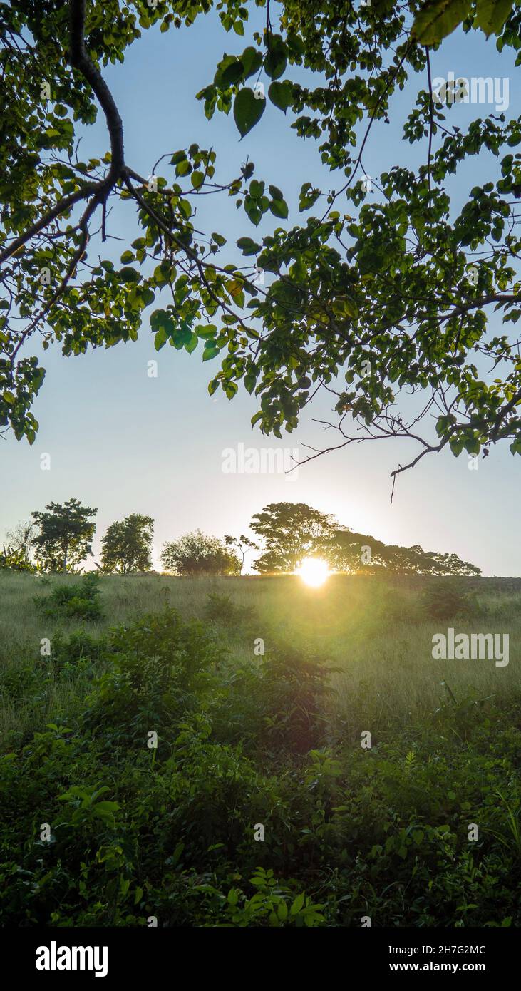 the beautiful nature in a calm afternoon between the mountains and the ...