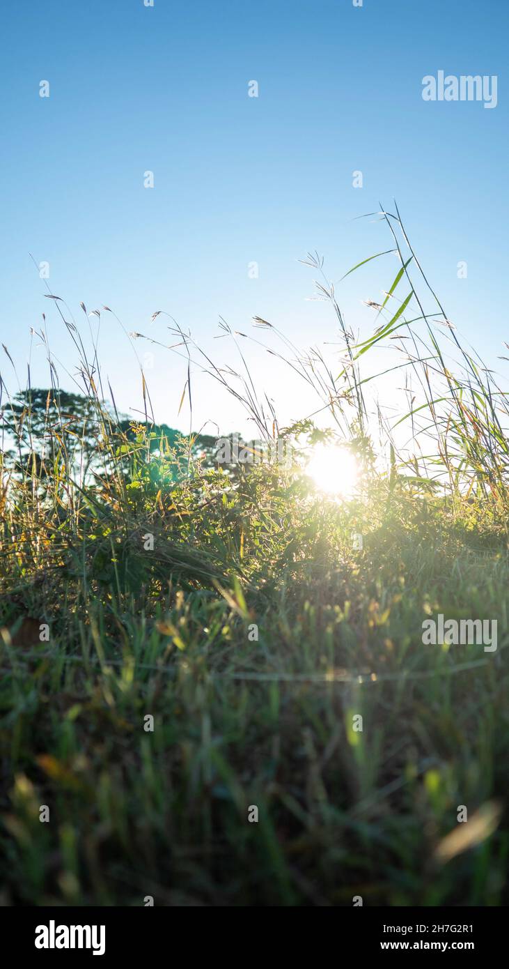 the beautiful nature in a calm afternoon between the mountains and the ...