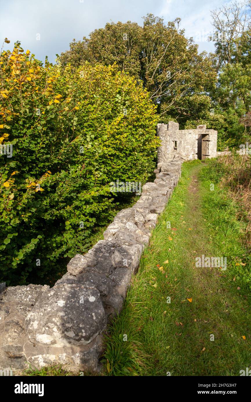 Castell Aberlleiniog Castle ruins. Llangoed, Isle of Anglesey (Ynys Mon ...
