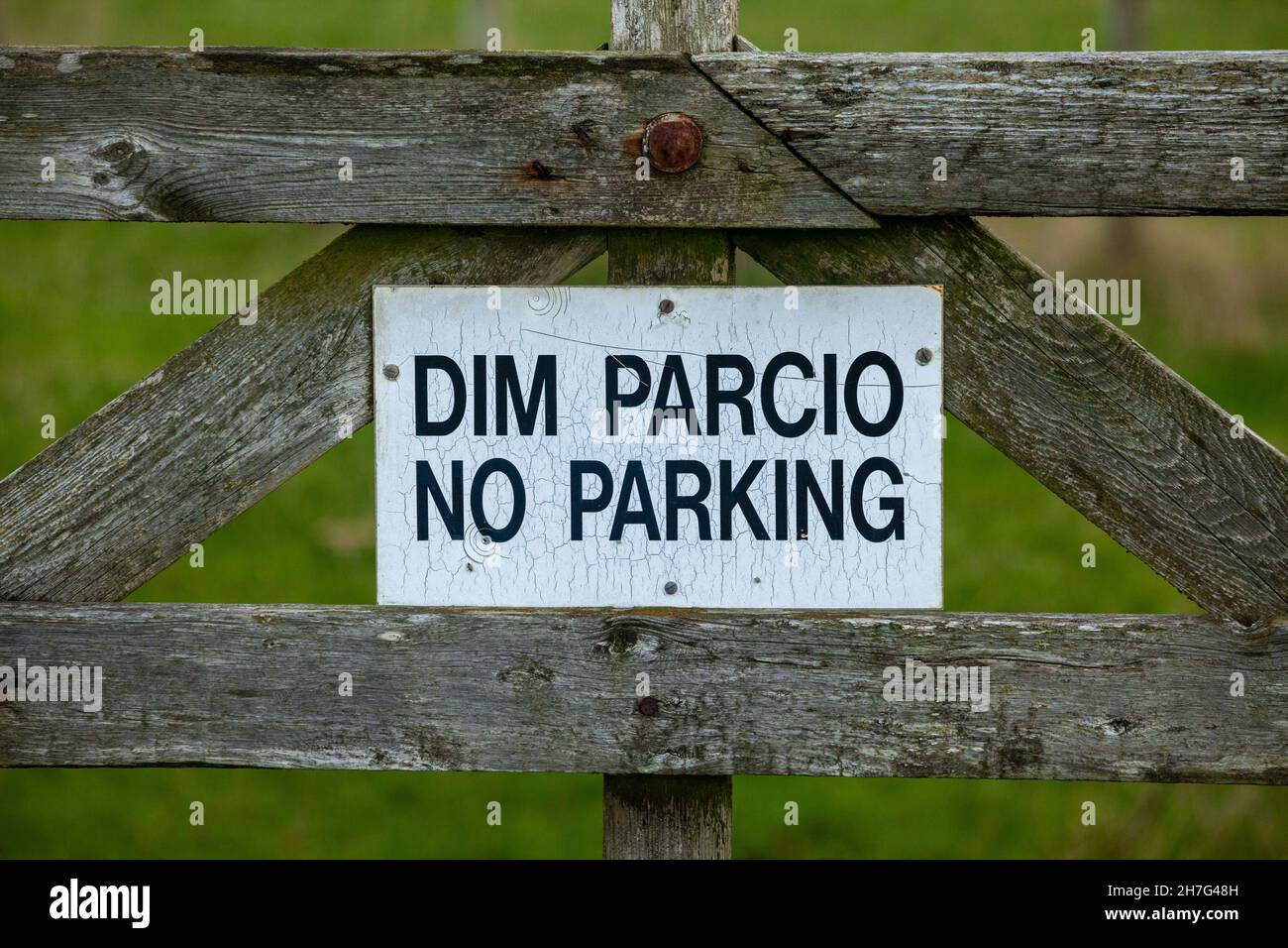 Dim parcio no parking hi-res stock photography and images - Alamy