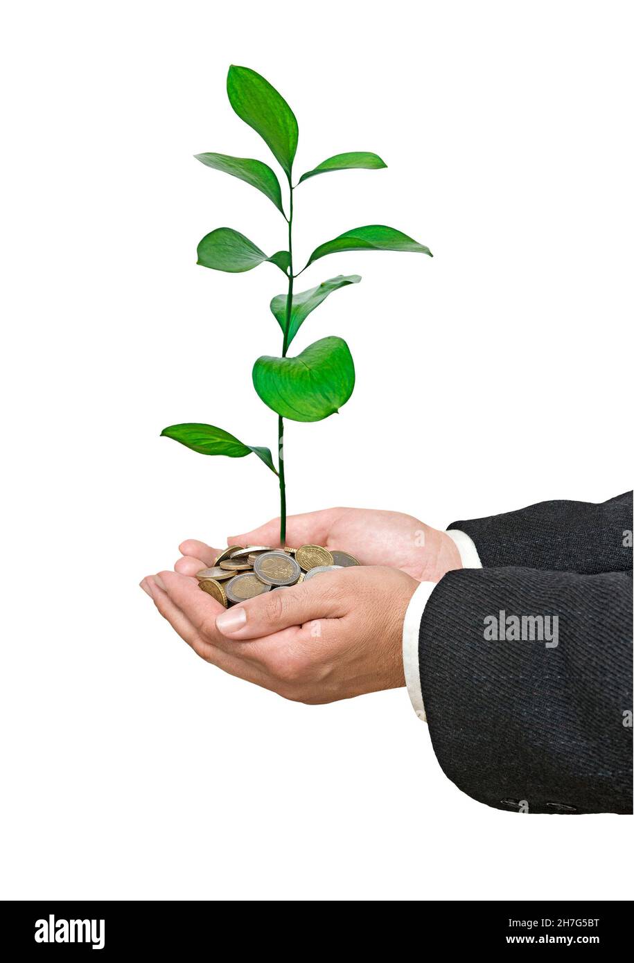 Environment and conservation fund hi-res stock photography and images ...