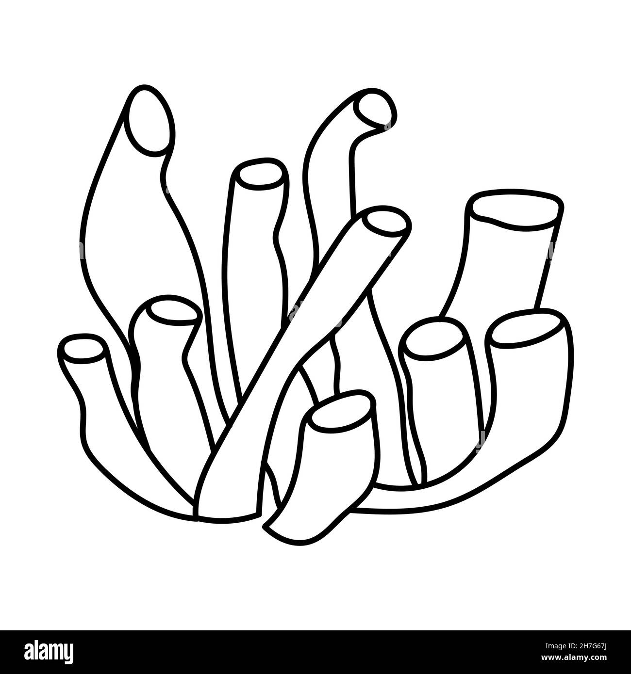 Sea Anemone Drawing For Kids