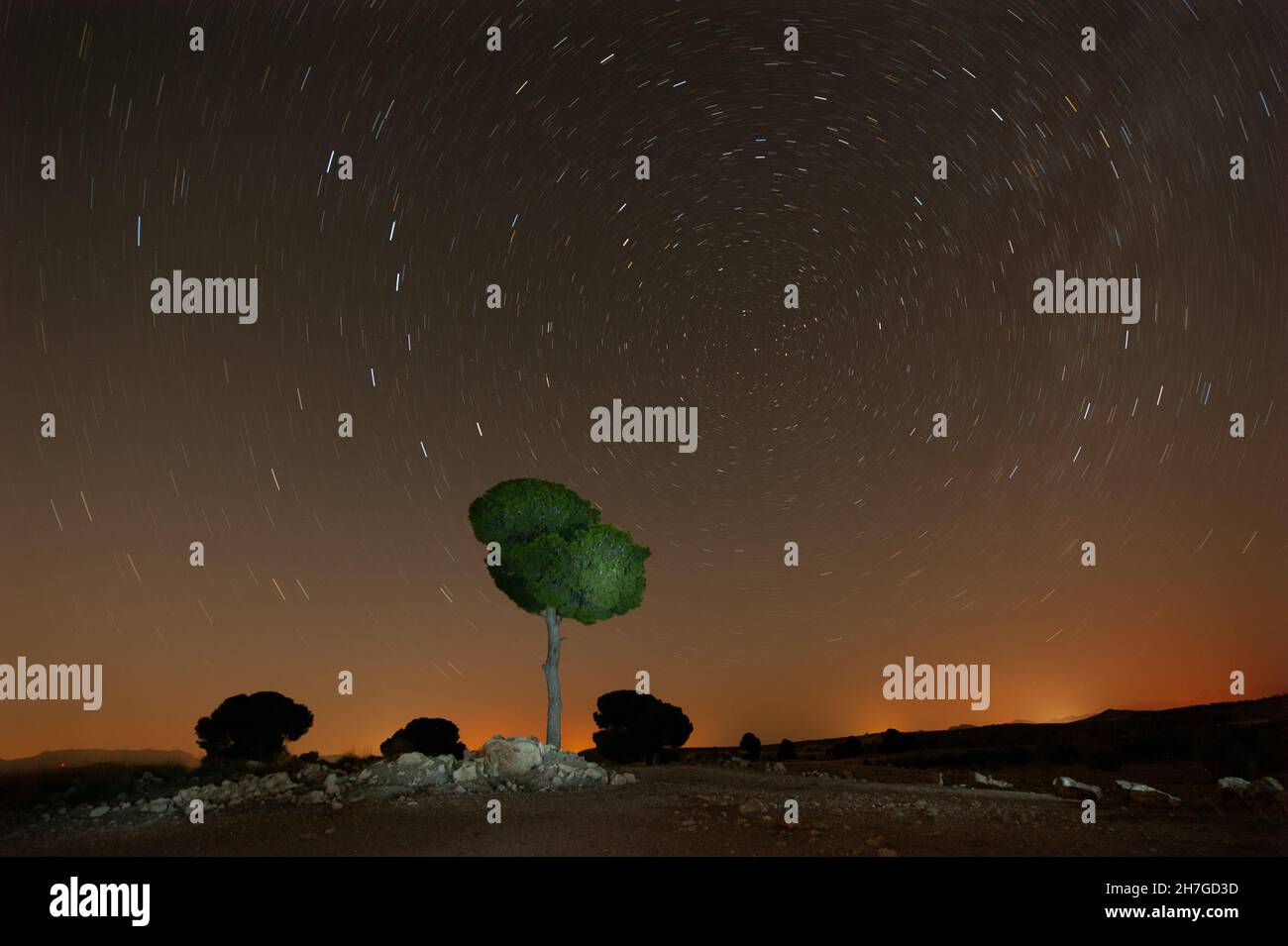 Circumpolar constellation hi-res stock photography and images - Alamy